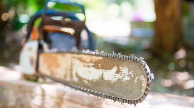 Dragon wows crowds at Carrbridge chainsaw contest - BBC News