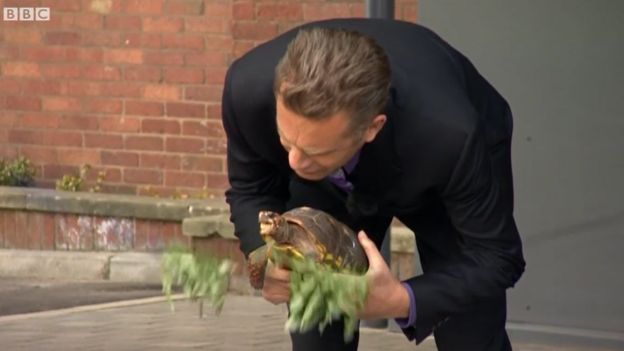 Grantham: Pee-wee the tortoise found by recycling centre workers - BBC News