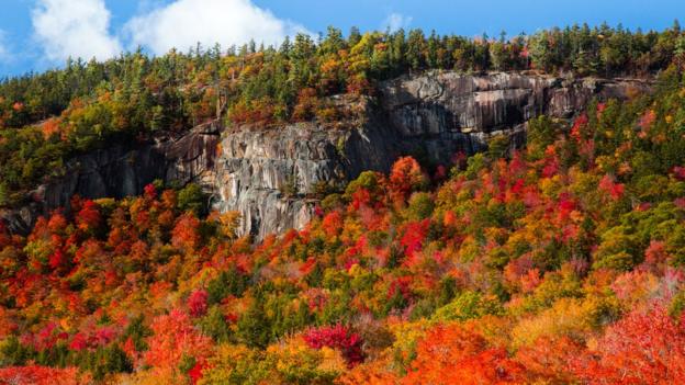 In pictures: The forests of New England - BBC News