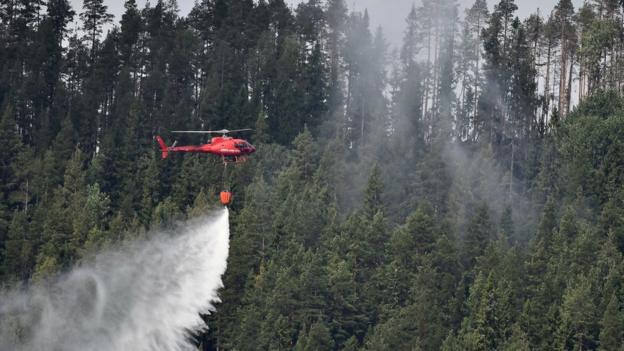 In pictures: Fighting the Swedish wildfires - BBC News