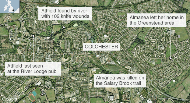 James Attfield and Nahid Almanea murders: The schoolboy killer - BBC News