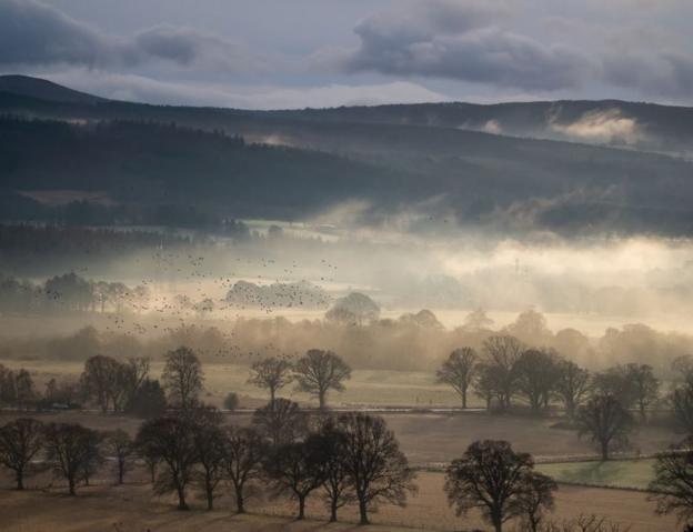 Your pictures of Scotland: 20 - 27 December - BBC News