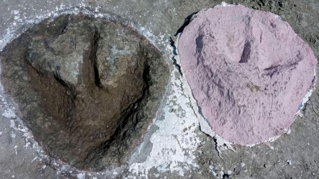 Where were the first dinosaurs born? - BBC Newsround