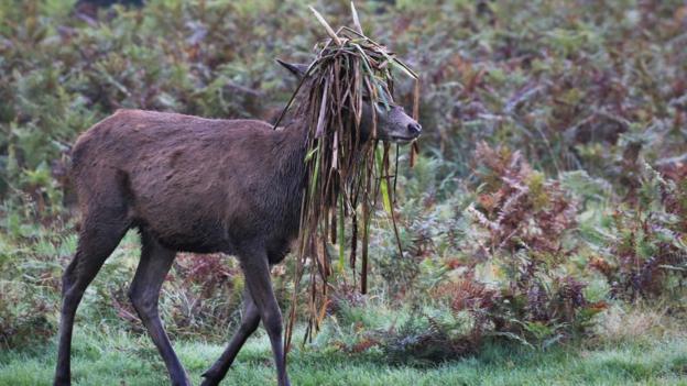 England's Big Picture: 16 - 22 October - BBC News