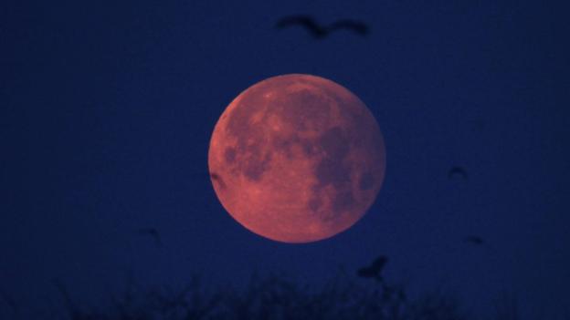 Spectacular snow moon around world - BBC News