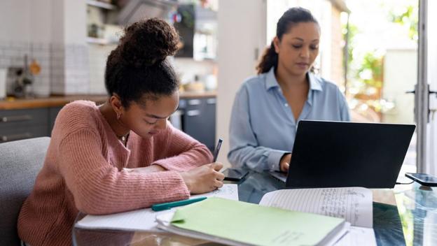 Home education - BBC Bitesize