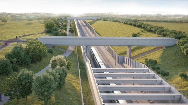 Why does it cost £100m for HS2 to protect bats? - BBC News