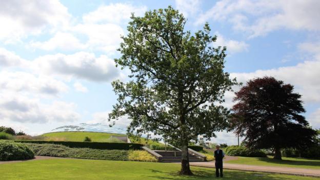 HS2 route Cubbington pear is 2015 'Tree of the Year' - BBC News