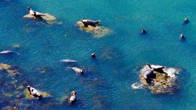 Your Pictures in Wales: 20-26 July - BBC News