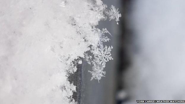 A year of stunning Weather Watchers photos - BBC Weather