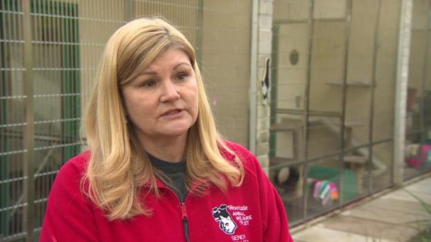 'Fairytale ending' for fat cat Mitzi returned four times - BBC News