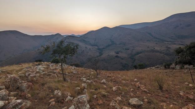 S2 meteorite that crashed into Earth caused life to bloom - BBC Newsround