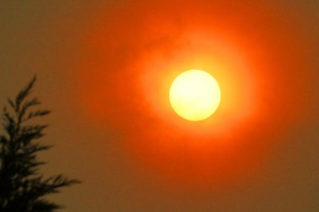 Red sun phenomenon 'caused by Saharan dust', analysis shows - BBC News