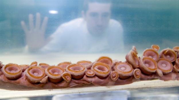 Our deep need for monsters that lurk in the dark - BBC News