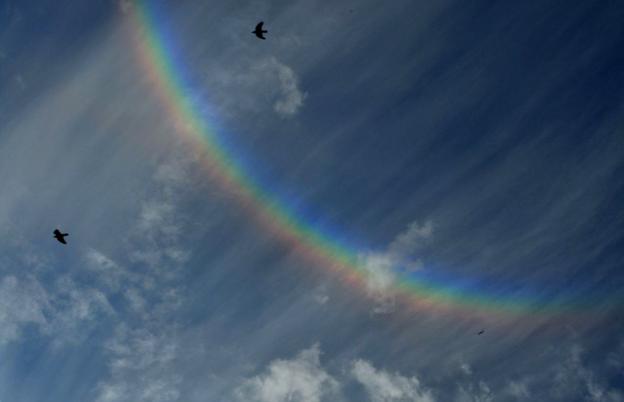 Who, What, Why: How common are upside-down rainbows? - BBC News