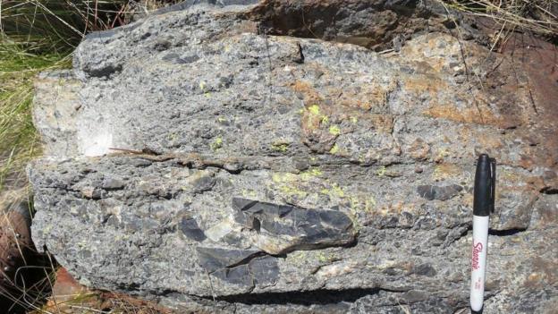 S2 meteorite that crashed into Earth caused life to bloom - BBC Newsround