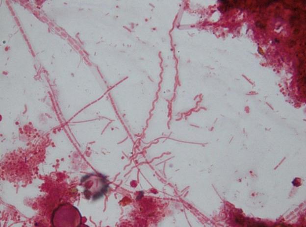 Interactive boat at heart of River Don art exhibition - BBC News