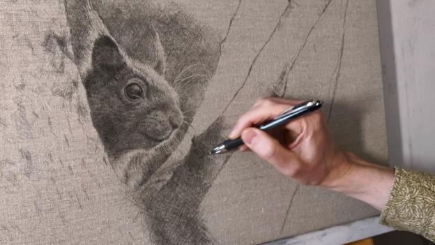 Hampshire artist draws British wildlife with a ballpoint pen - BBC News
