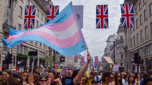 Number of trans people may have been overestimated in census, ONS says ...