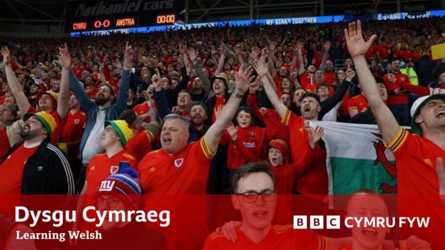 Newyddion a mwy - BBC Cymru Fyw