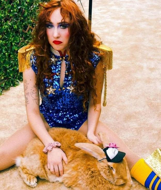 Meet Alex, the 'therapy bunny' - BBC Newsround