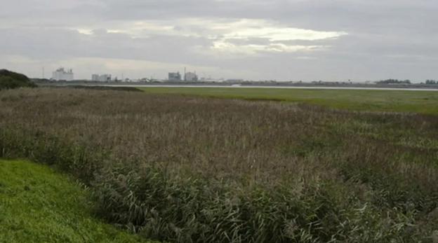 Carcinogen found in soil at former chemical site - BBC News