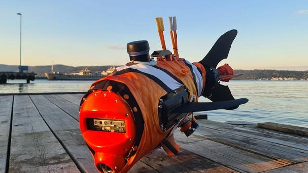 Climate change: Could robot clown fish help our oceans? - BBC Newsround