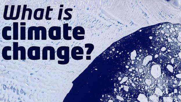 COP28: What is it and what can we expect to see happen? - BBC Newsround