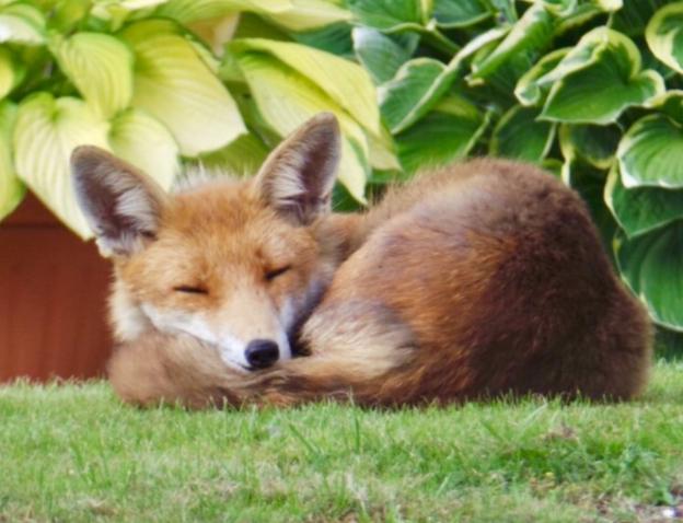 Your pictures of Scotland: 14 - 21 June - BBC News