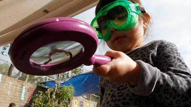 Earthworms' place on Earth mapped - BBC News