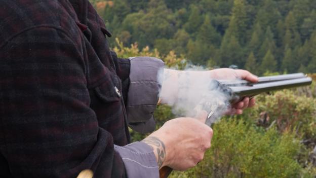 Why US liberals are now buying guns too - BBC News