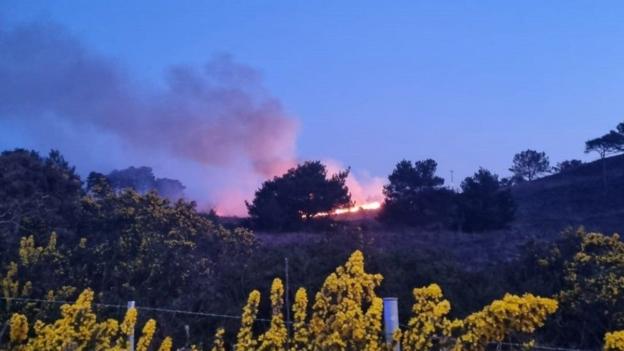Firefighters tackle heath fires at Poole nature reserves - BBC News