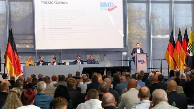 Germany's AfD party adopts 'radical' manifesto ahead of polls - BBC News