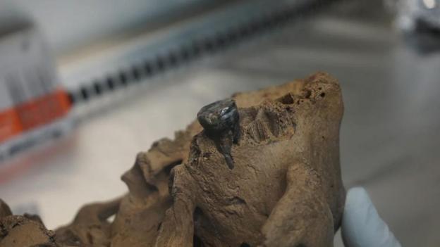 Dragon Man: Ancient skull 'reveals what mysterious Denisovans looked ...