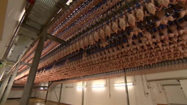 Inside a major chicken processing plant - BBC News