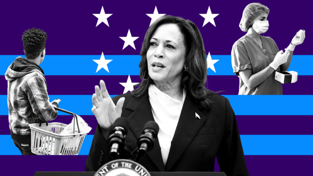 After years of doubt, Kamala Harris becomes Democrats' leader - BBC News