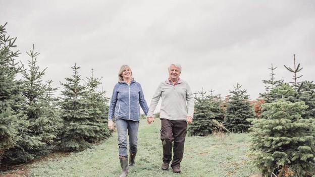 'Renting out Christmas trees gives us a buzz' - BBC News