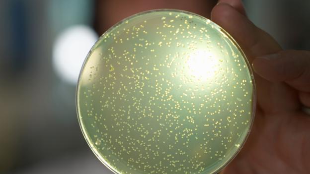 Synthetic Human Genome Project gets go ahead - BBC News
