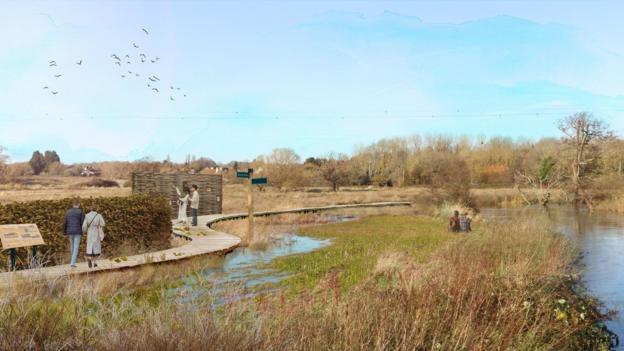 New walks created at Guildford's Tyting Farm nature reserve - BBC News
