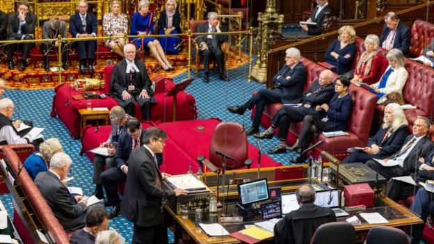 Illegal Migration Bill breaches human rights obligations, MPs and peers ...