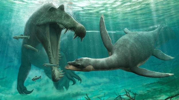 Pliosaur: Giant sea monster skull unearthed in Dorset - BBC Newsround