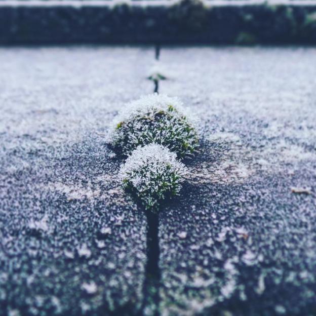 England's Big Picture: 22 - 28 January - BBC News