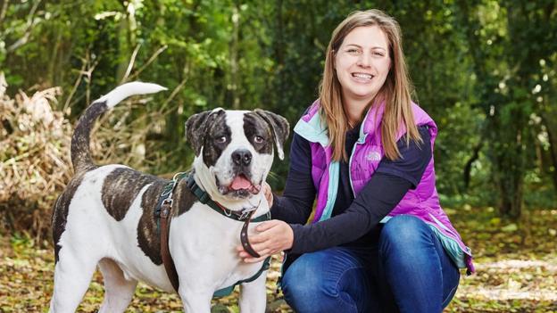 Dog attacks: What can you do to protect yourself? - BBC News