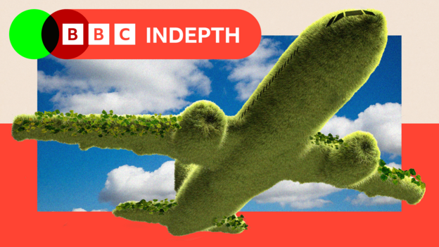 Climate | Latest News & Updates | BBC News