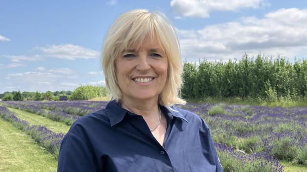 Surrey lavender farm finds weeding 'quite difficult' since Brexit - BBC ...