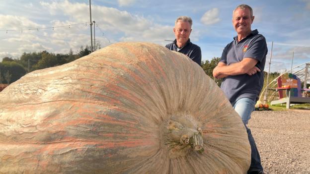 Lymington twins squash world record for biggest pumpkin - BBC News