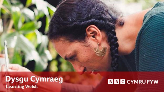 Newyddion a mwy - BBC Cymru Fyw