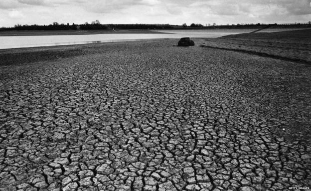 What the drought of 1976 looked like as this year's heatwave continues ...