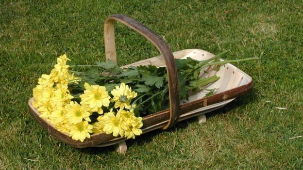 Campaign to save 'critically-endangered' Sussex trug industry - BBC News