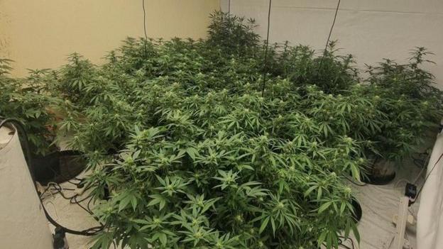Cannabis farm uncovered in Birmingham after fire at block of flats ...